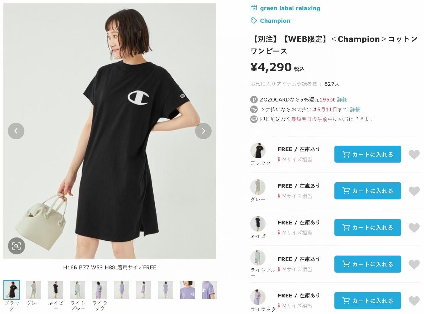 Champion One piece – Aimeebabe